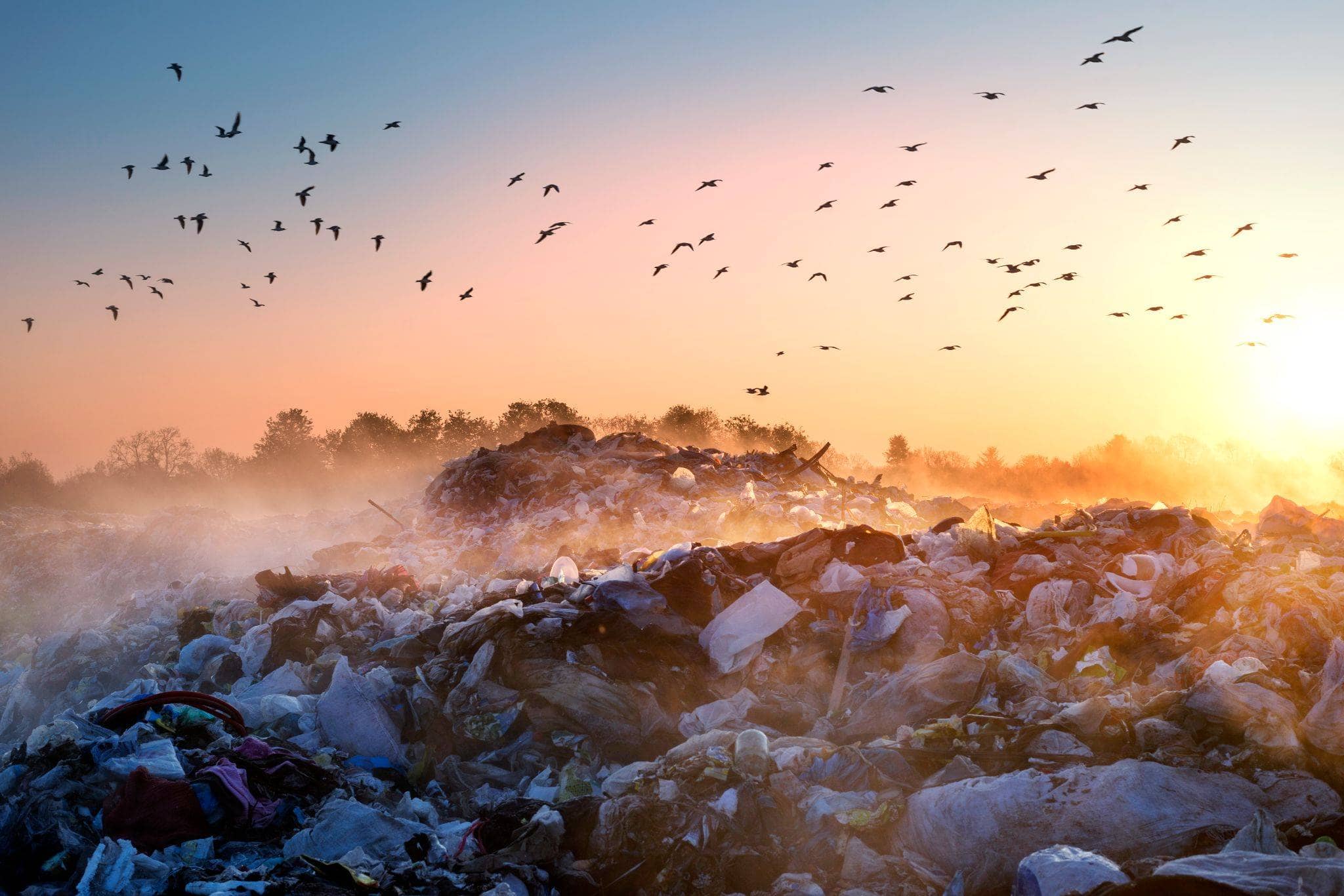 Why we're on a mission to increase resource recovery | Greyparrot AI
